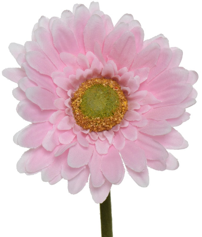 Gerbera Stem - 50cm – Lu Lu's Gift Company